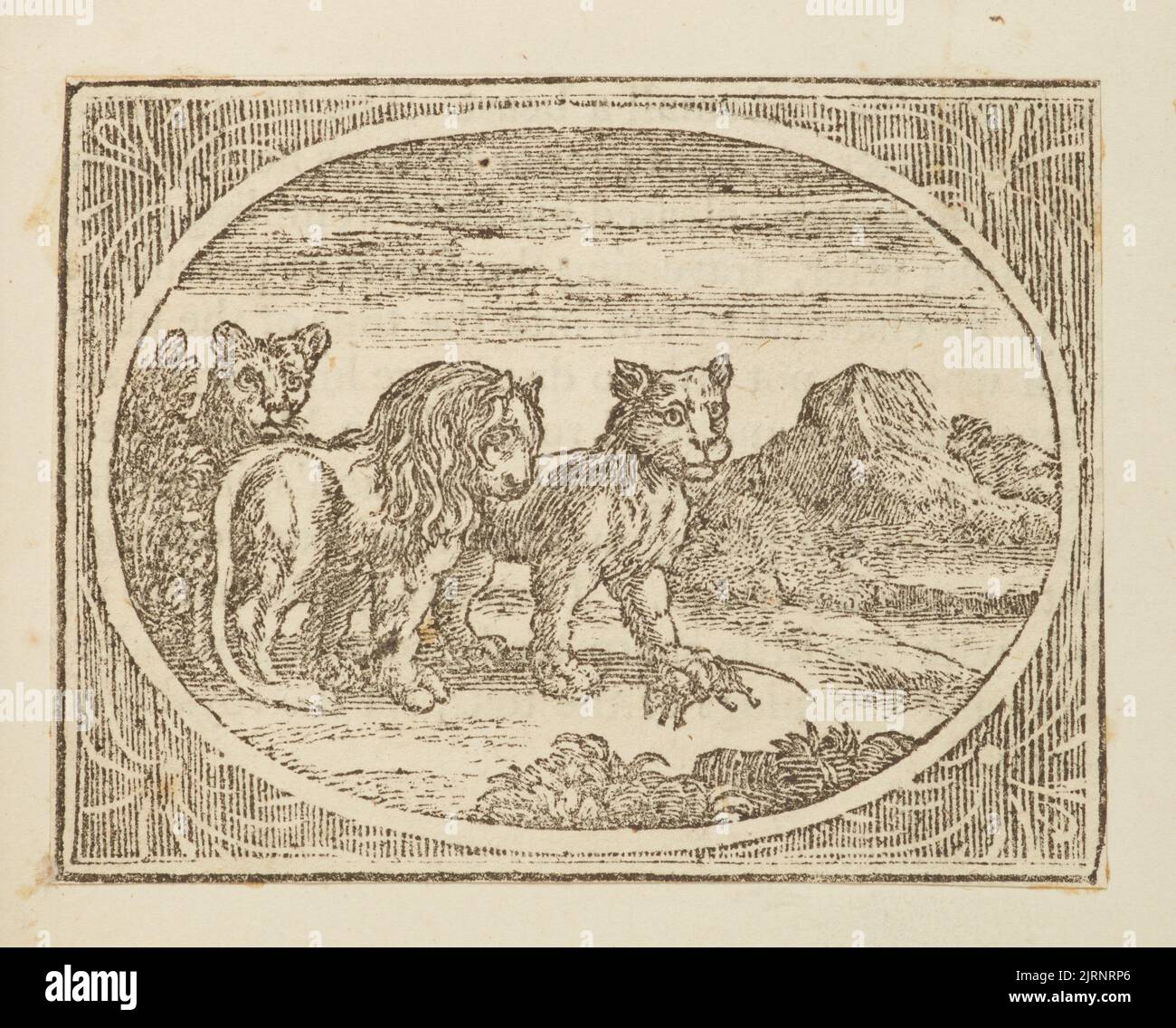 Wood engraving, England, by Thomas Bewick Stock Photo - Alamy