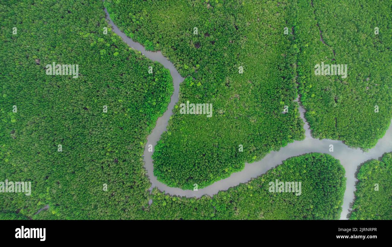 Aerial view of Phang Nga Bay and mangrove forest in the Andaman Sea ...