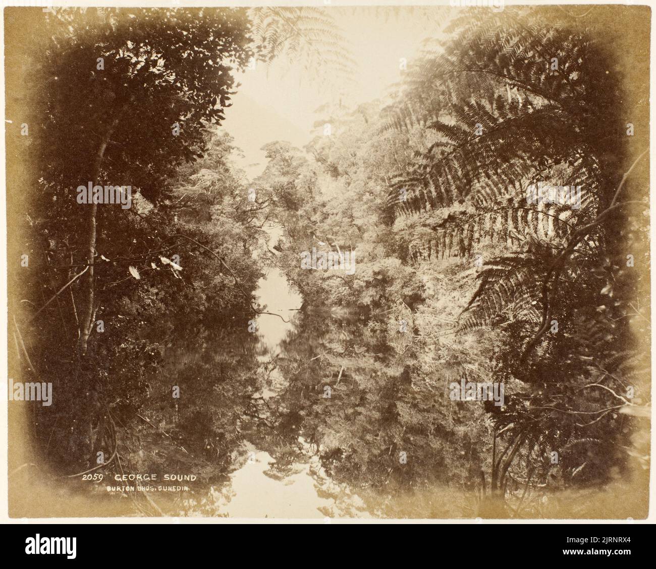 George Sound, 1800s, Dunedin, by Burton Brothers Stock Photo - Alamy