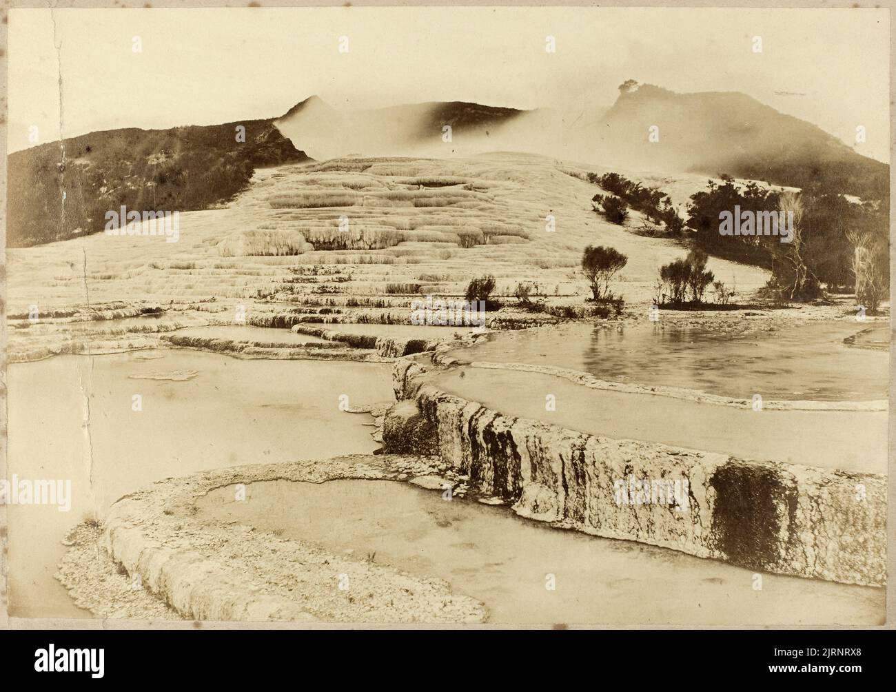 White Terrace, circa 1885, Dunedin, by Burton Brothers, Alfred Burton ...