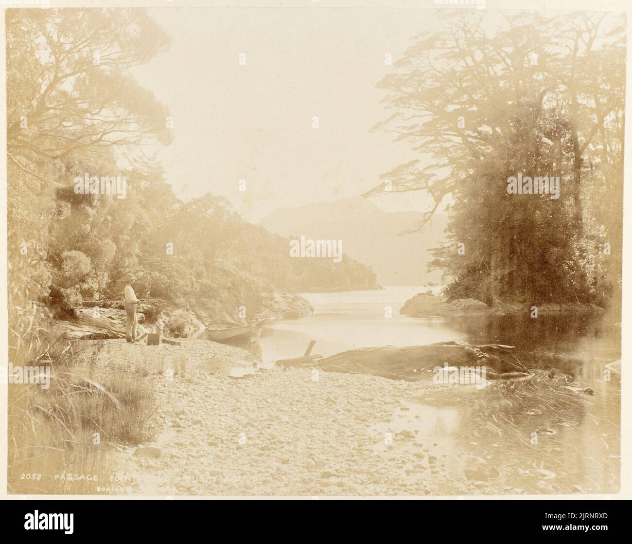 Passage Point Cove - Dusky Sound, 1800s, Dunedin, by Burton Brothers ...