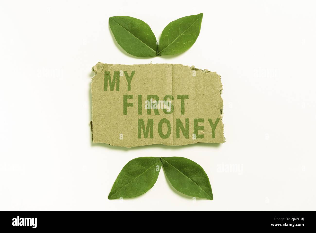 Sign displaying My First Money. Conceptual photo Starting receiving ...