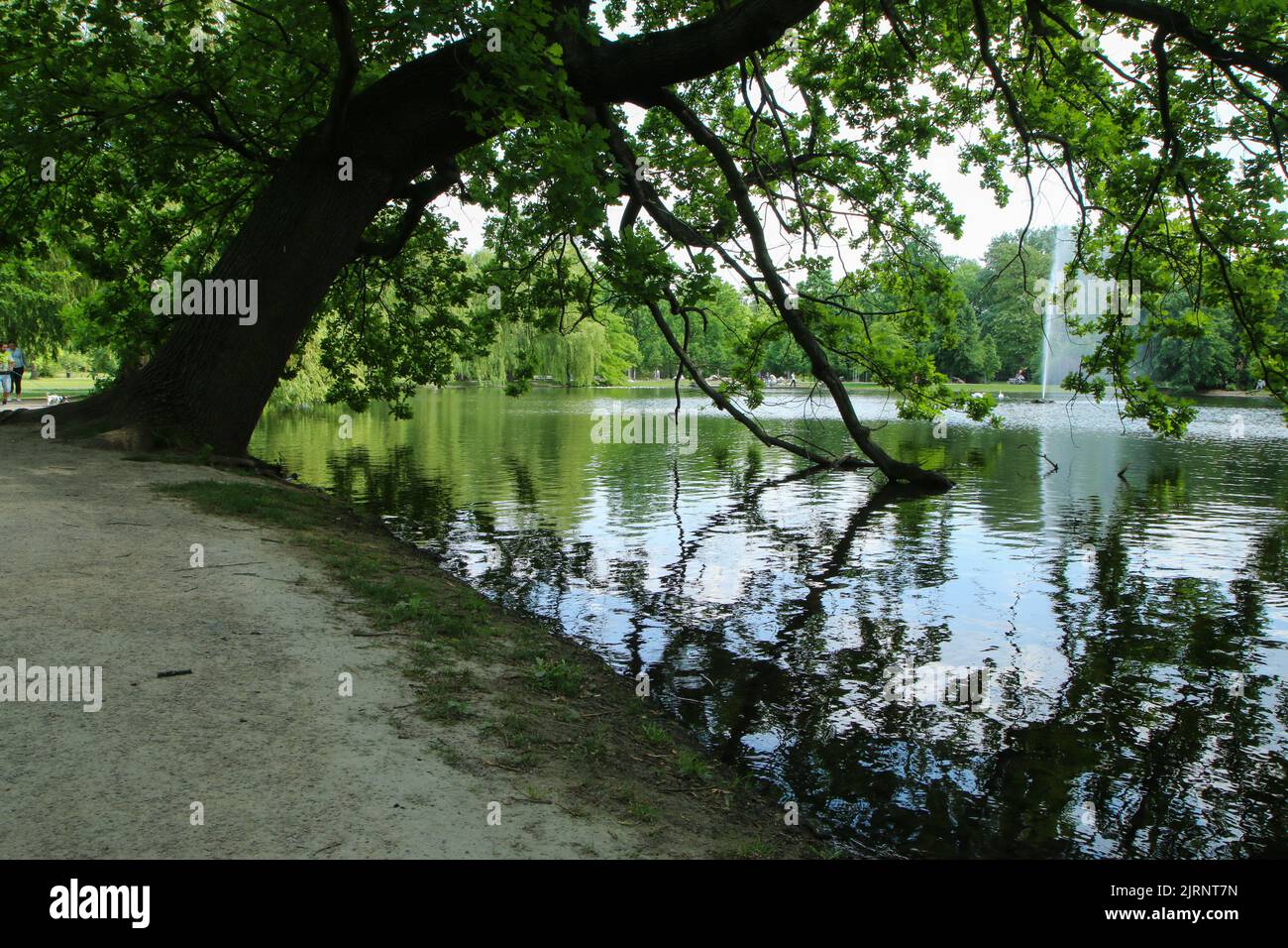 The Relaxation And Activity Area Park In Prague Called Stromovka Tree Park With Its Nice