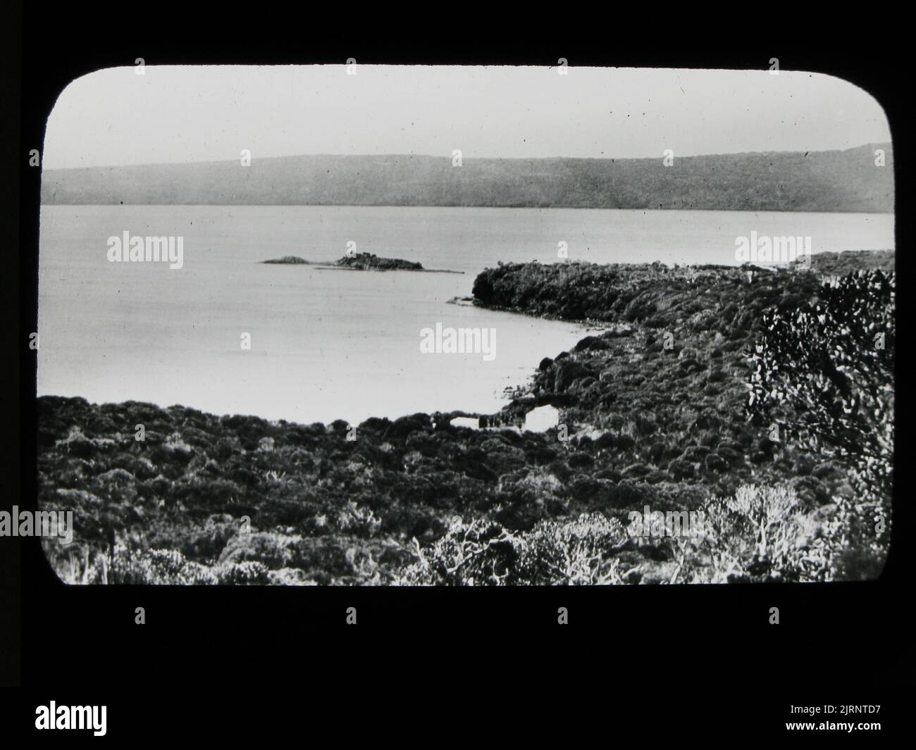 New Zealand Landscape Scene : Port Ross, Auckland Islands, Auckland ...
