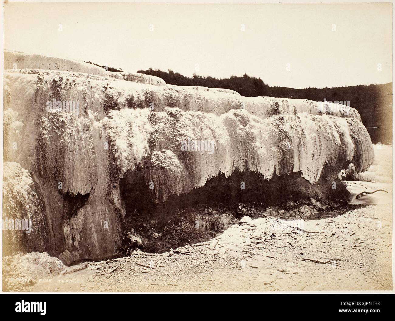 Pink Terrace, 1880s, Dunedin, by Burton Brothers Stock Photo - Alamy