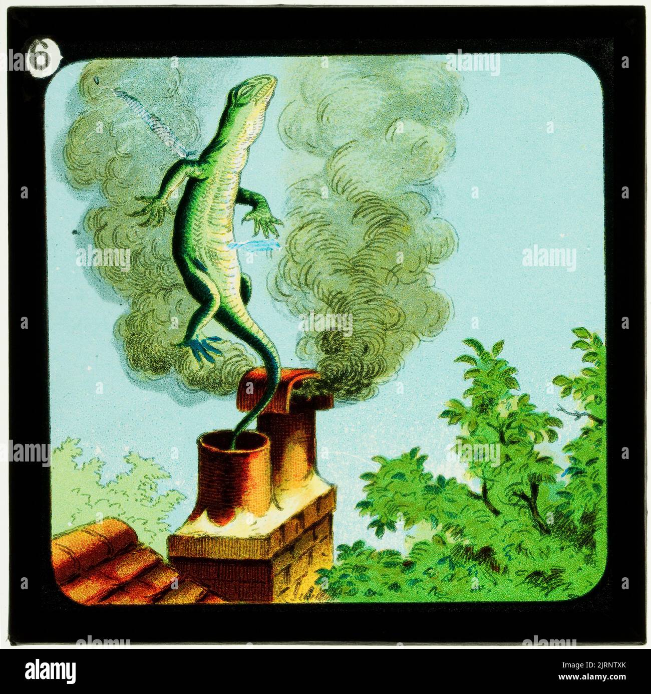 Alice in Wonderland (Part 1), Down the rabbit hole: 'There goes Bill ...