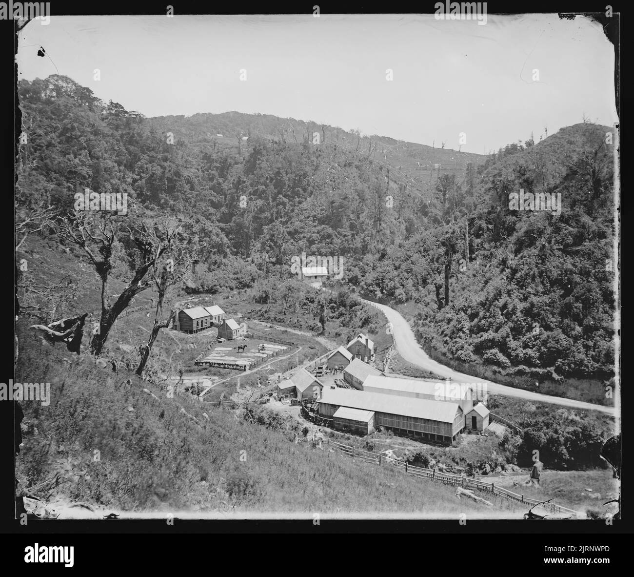 Scene at a sawmill, circa 1878, North Island, by James Bragge Stock ...