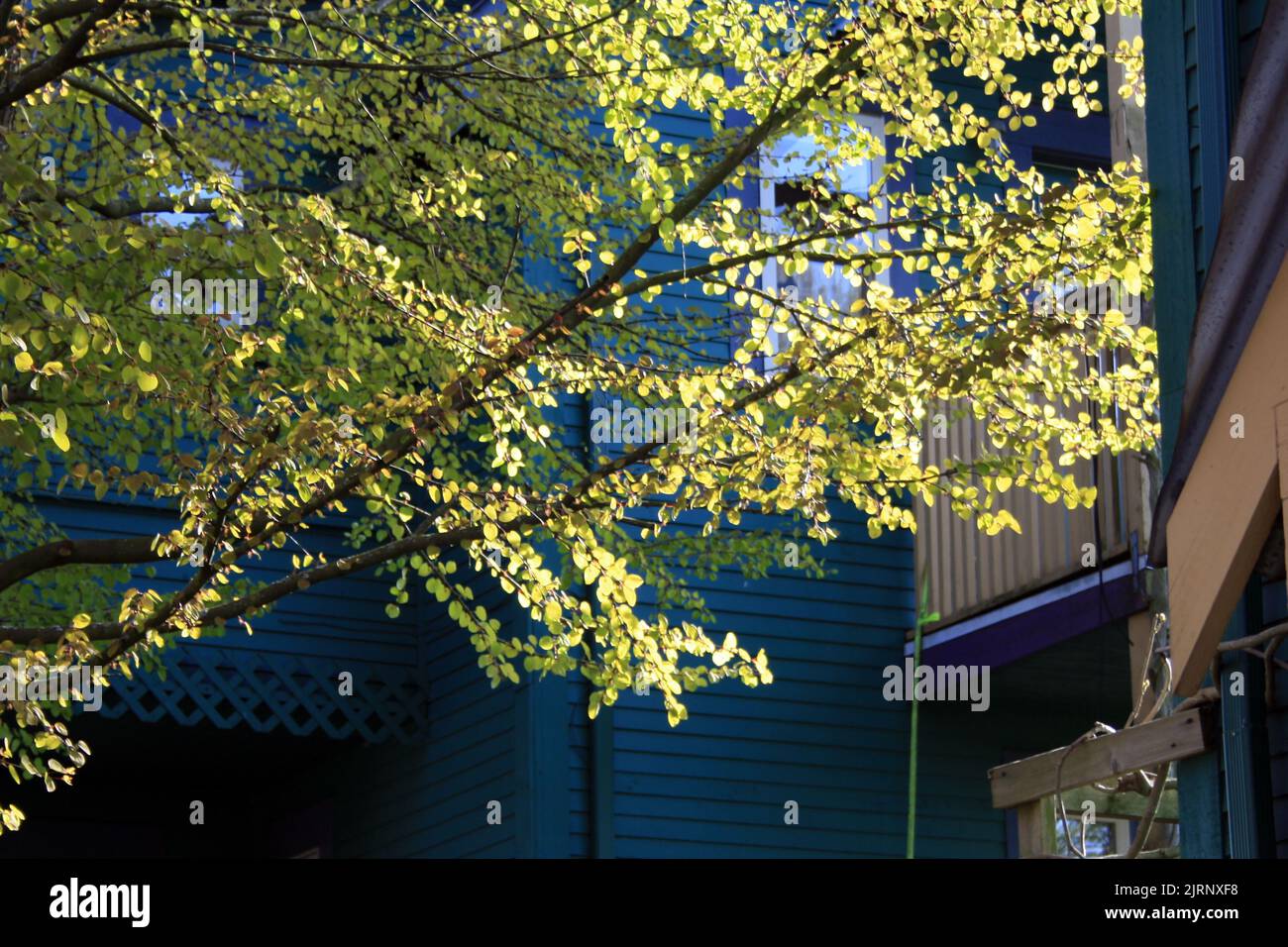 Covering house exterior hi-res stock photography and images - Alamy