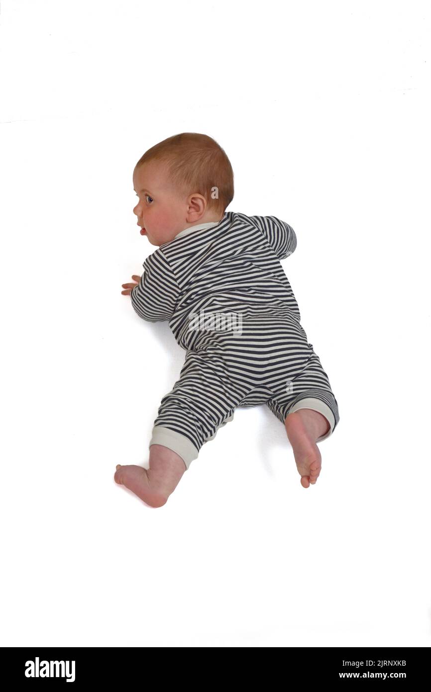 top view of rear view of baby crawling on the floor on white background ...