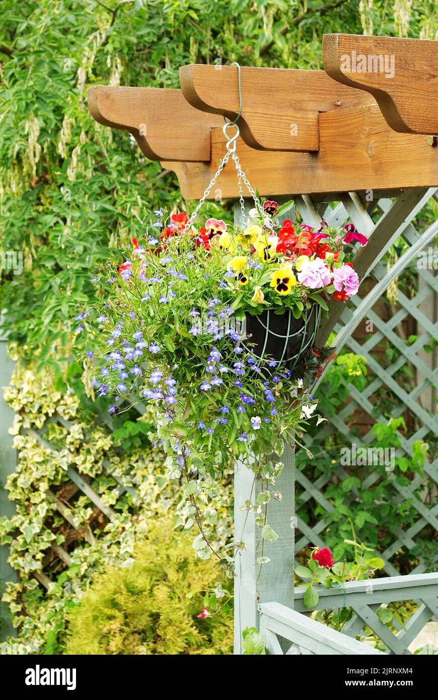 Pergola colorful hi-res stock photography and images - Alamy