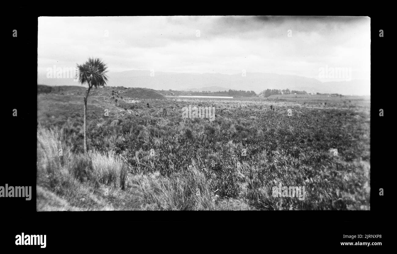 Historic sites and features horowhenua hi-res stock photography and ...