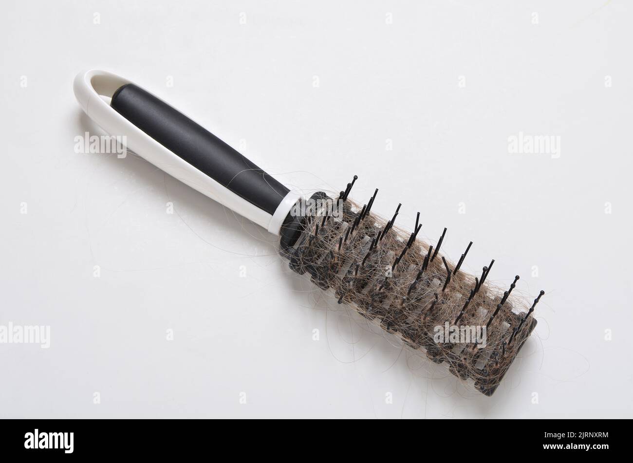 Hairbrush clogged full of hair on white background Stock Photo - Alamy