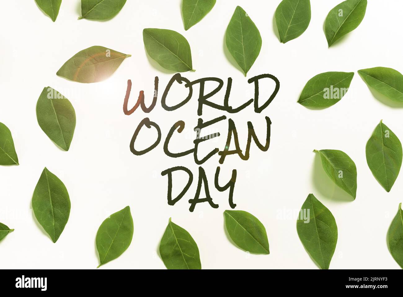 Inspiration showing sign World Ocean Day. Concept meaning Worldwide ...