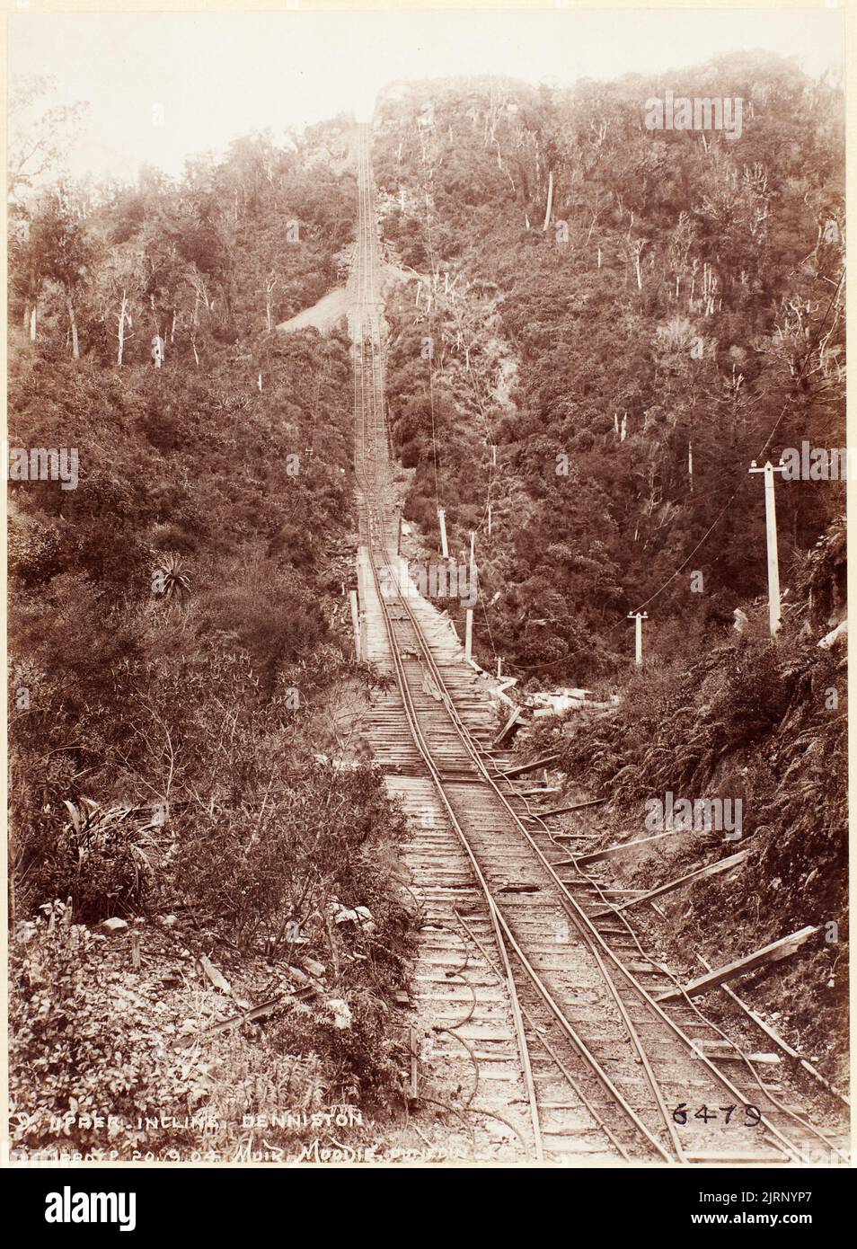 Upper Incline, Denniston, 1904, Dunedin, by Muir & Moodie Stock Photo ...