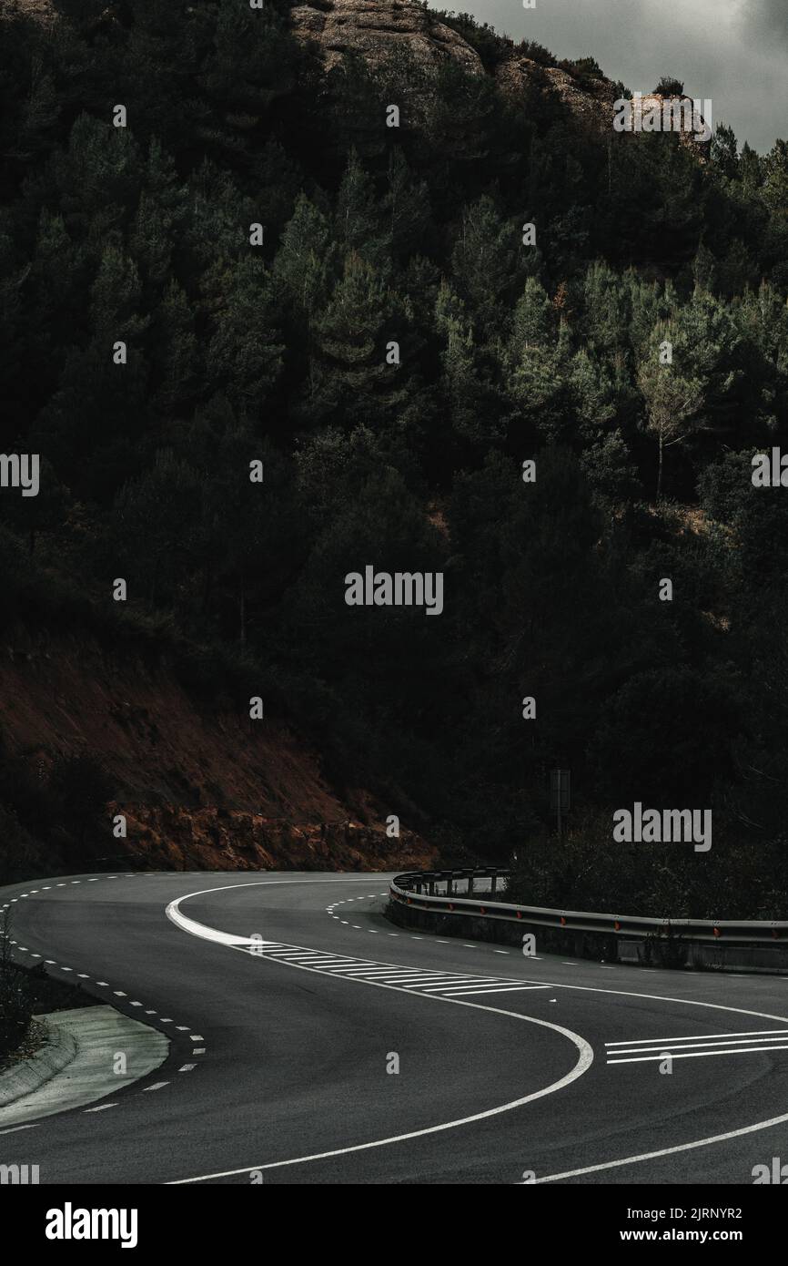 A vertical shot of a wavy road surrounded by trees Stock Photo - Alamy