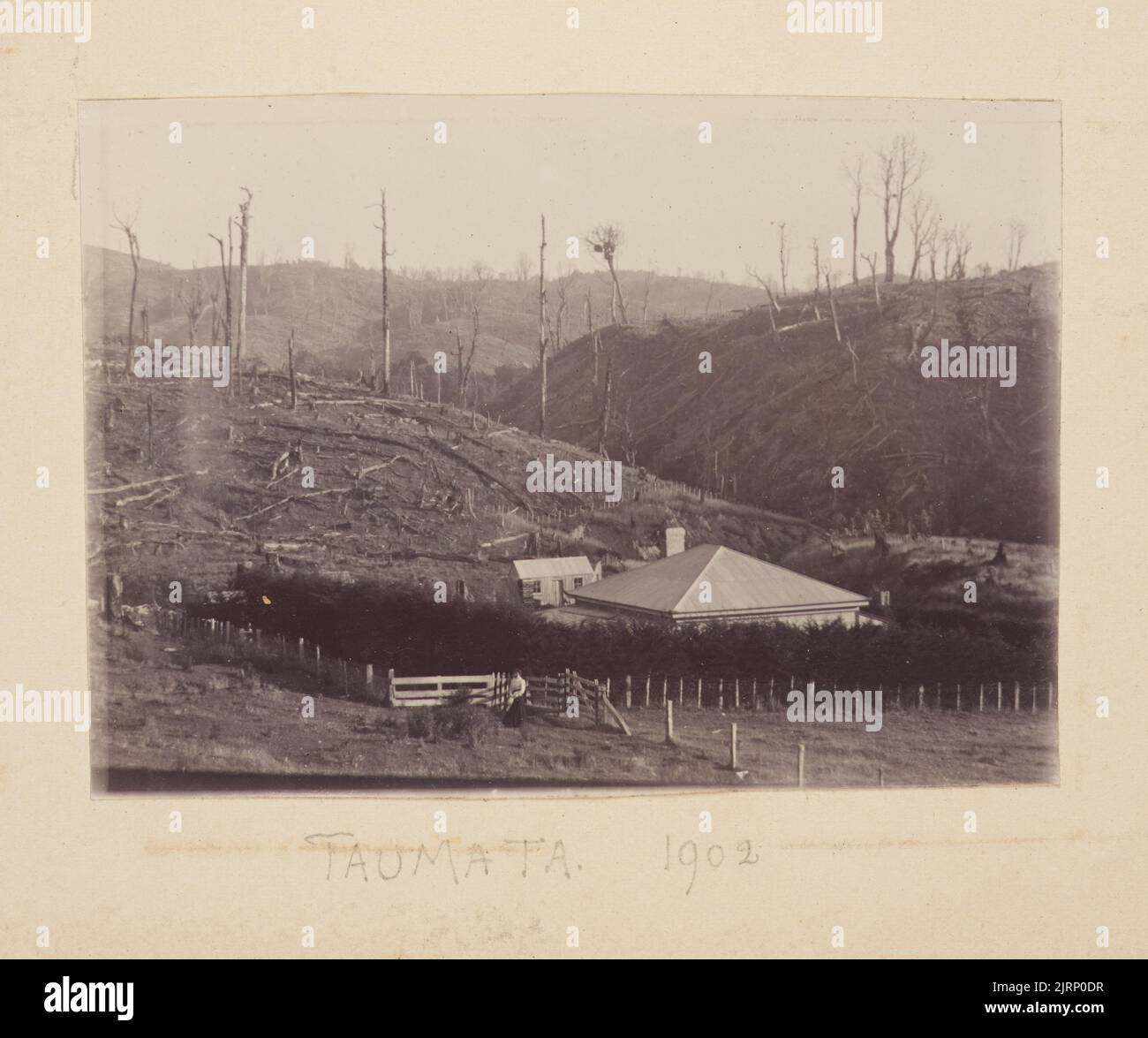 Taumata, 1902. From the album: Snapshot album - Ruatea, 1902, Manawat ...