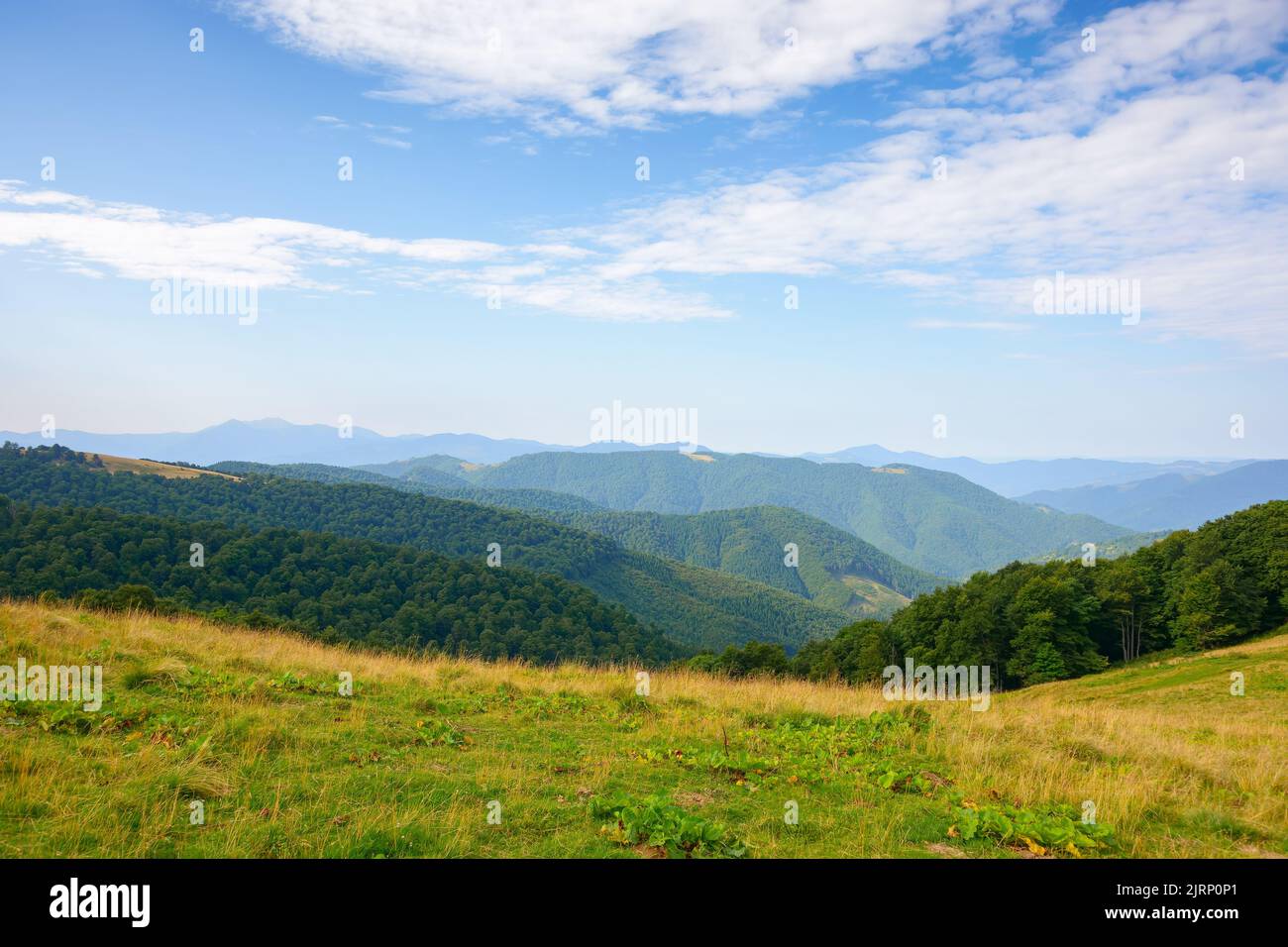 green pasture on the hillside. forested mountains in the distance ...