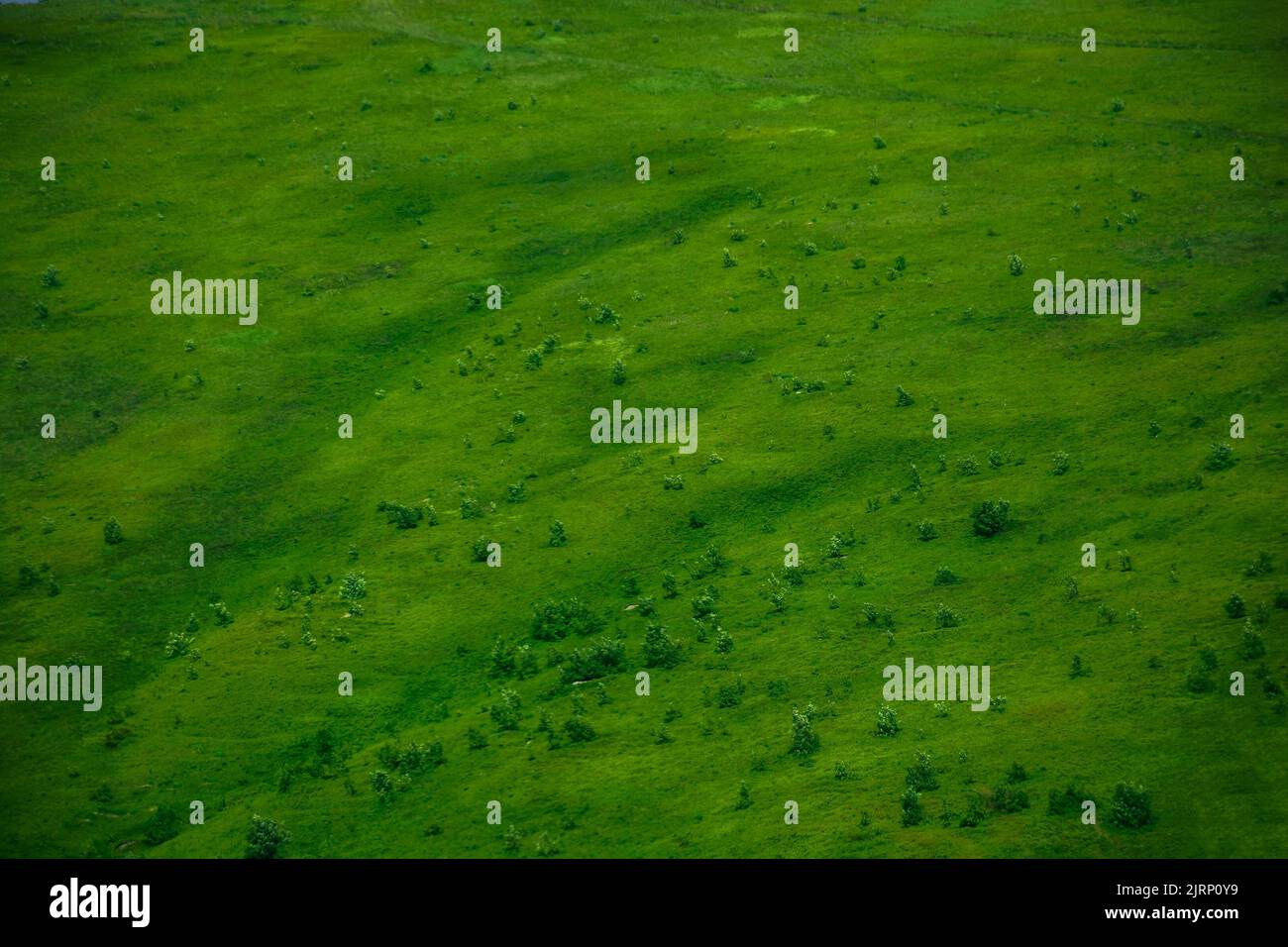 Green grassy meadow mountain backdrop hi-res stock photography and ...