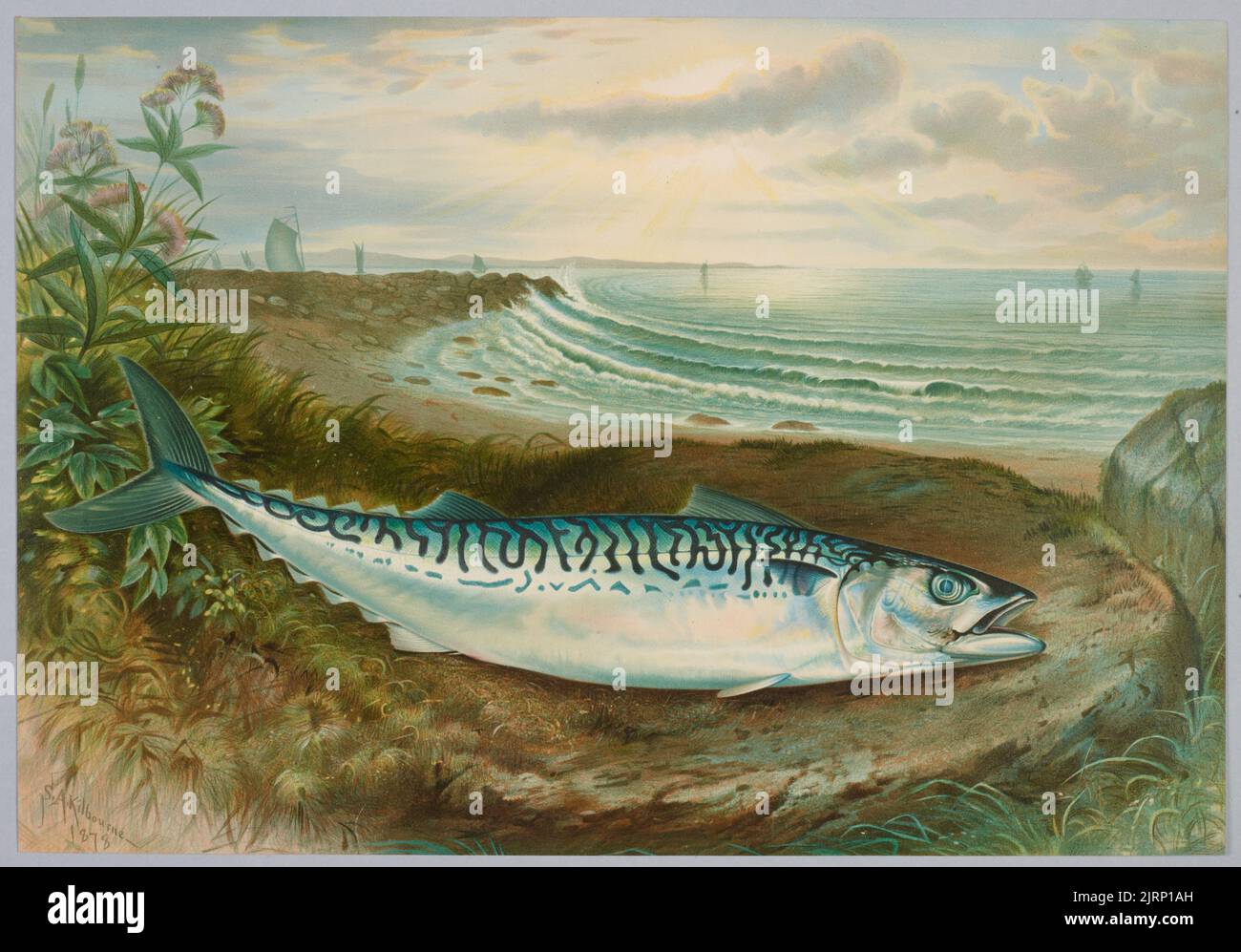 Samuel kilbourne hi-res stock photography and images - Alamy