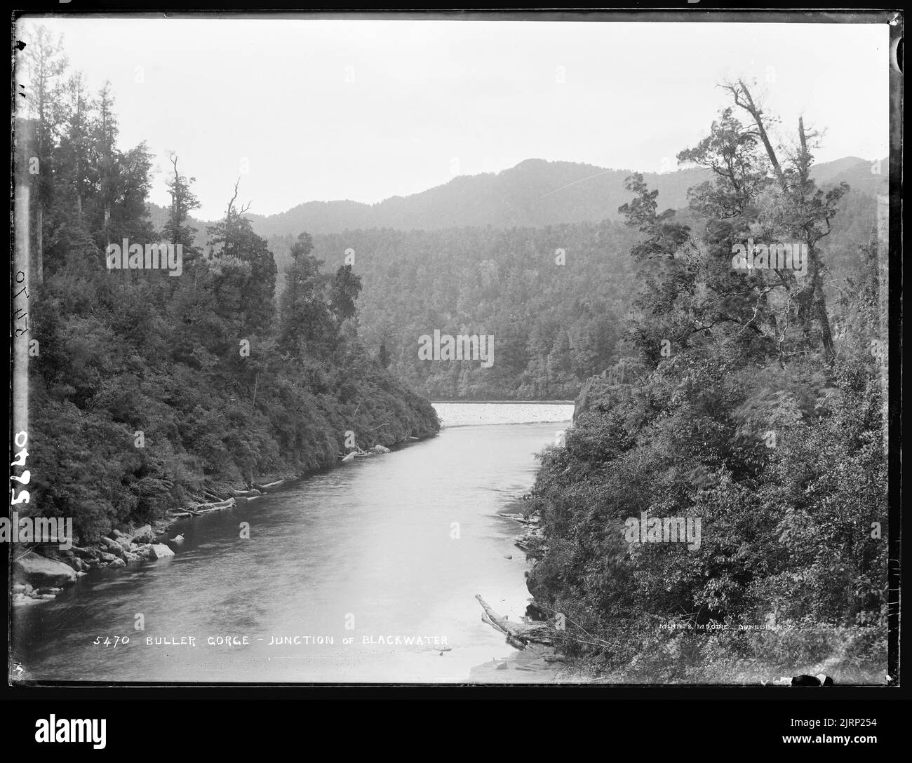 Buller Gorge, Junction of Blackwater, New Zealand, by Burton Brothers ...