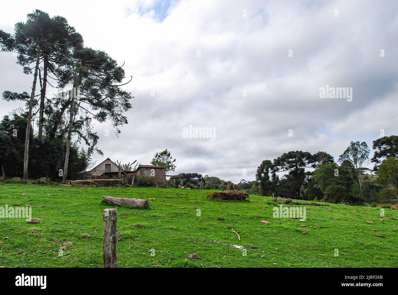 Bucolic area with green grass, a fence with barbed wire, in the ...