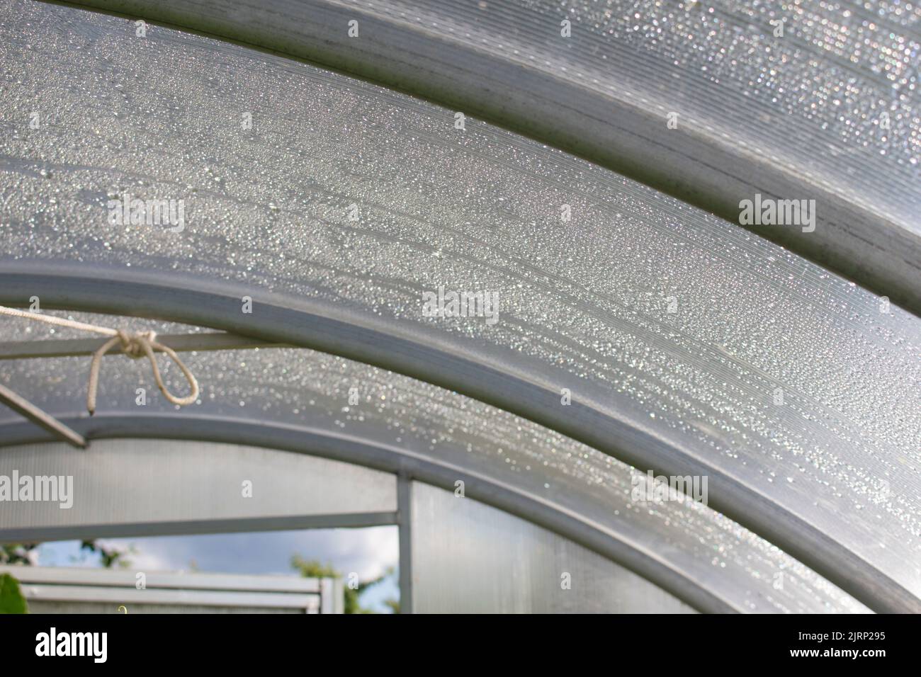 Plastic transparent roof of a greenhouse for vegetable plants in summer ...