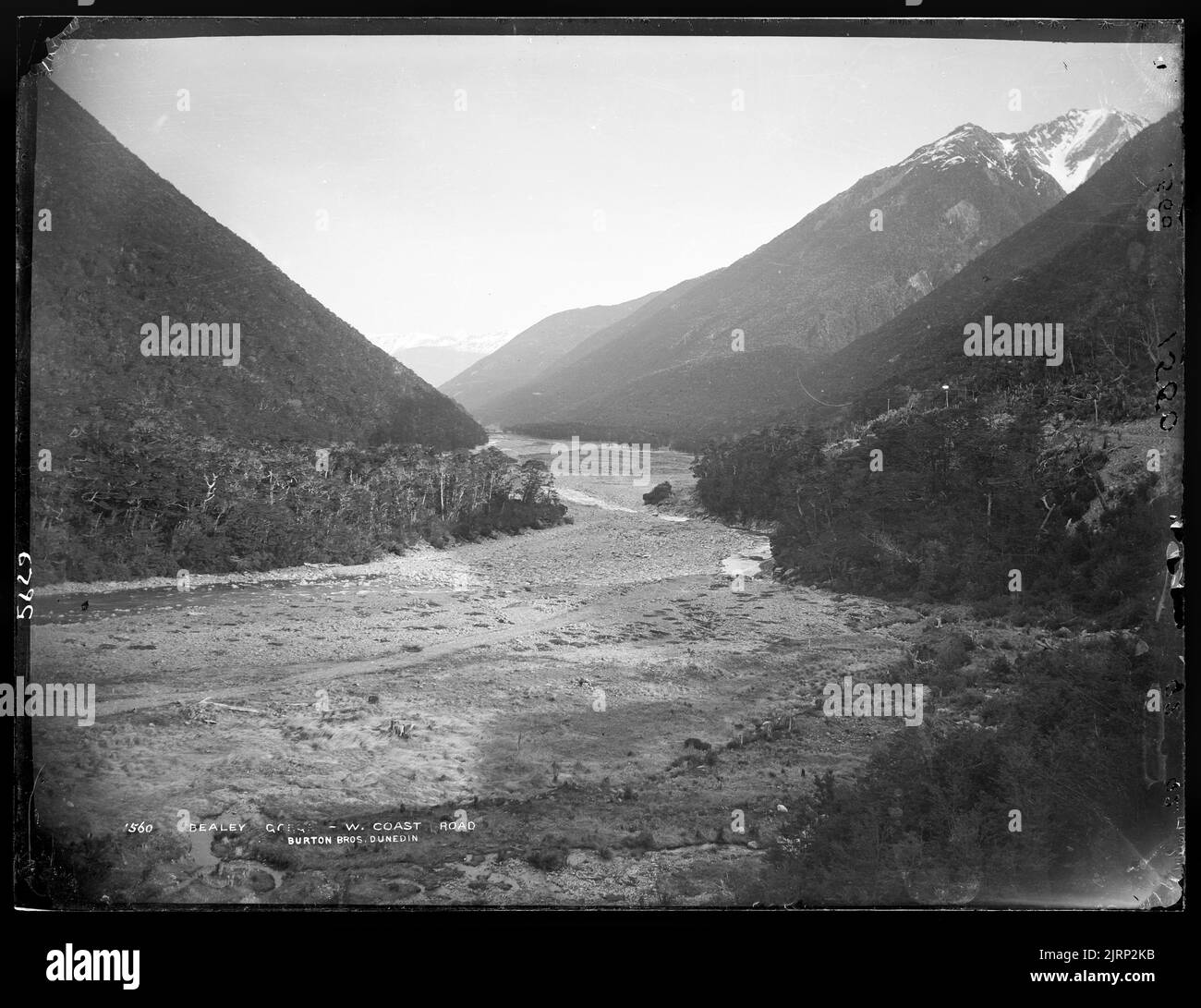 West coast road bealey gorge hi-res stock photography and images - Alamy