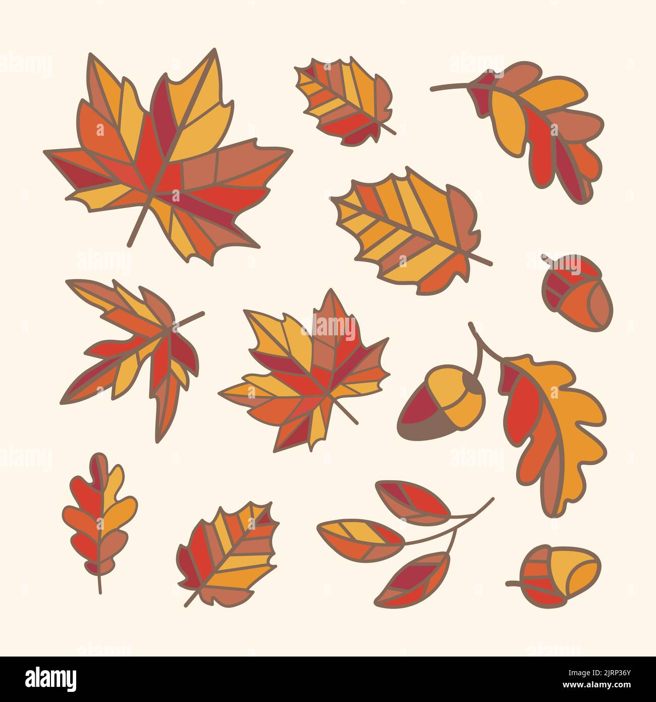Beautiful chestnut bright red Stock Vector Images - Alamy