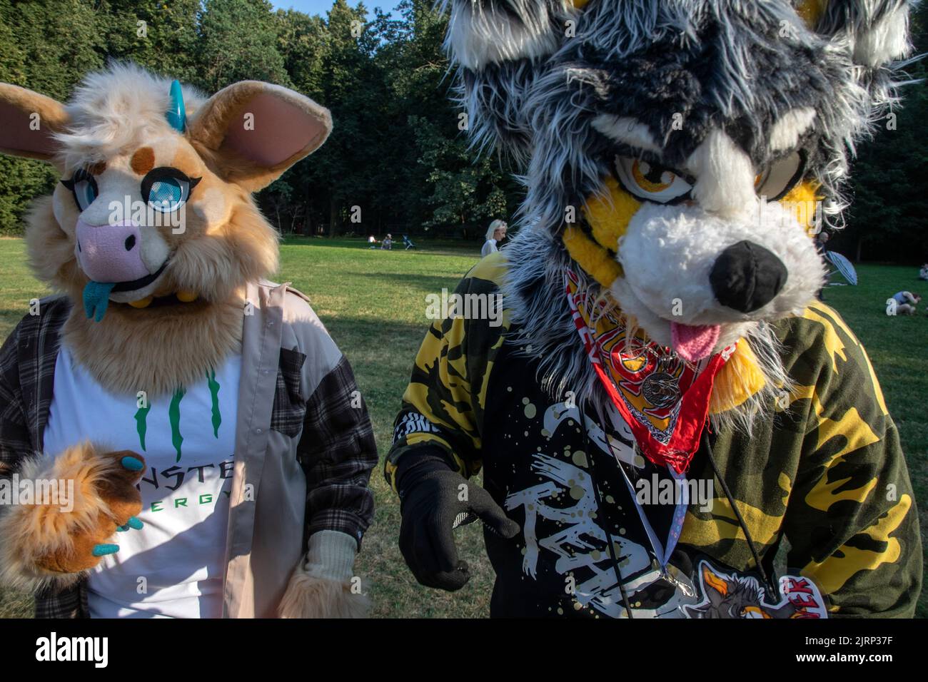Furry fandom hi-res stock photography and images - Alamy