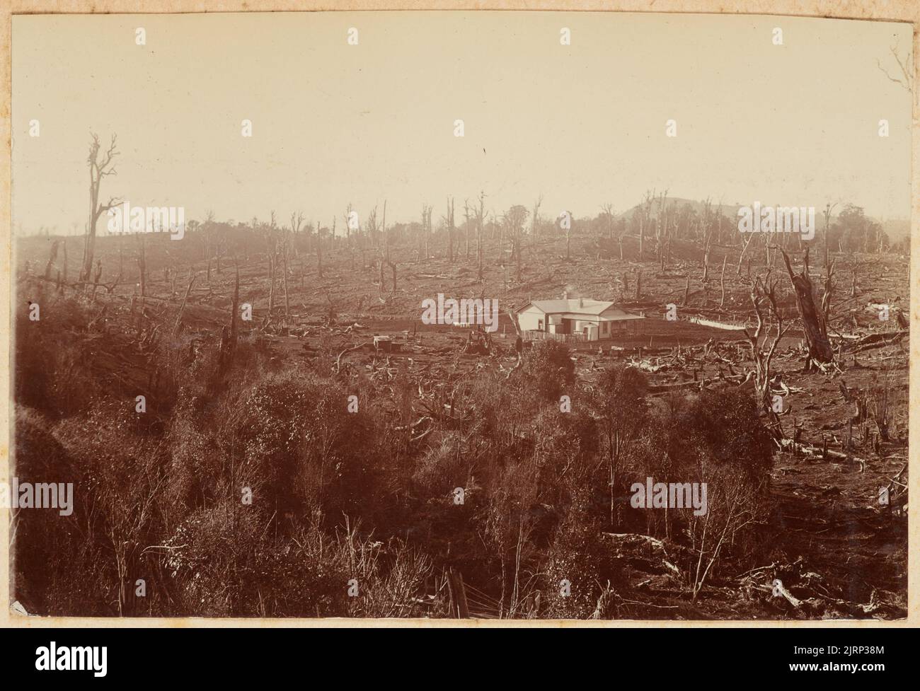 Nga Mahanga. From the album: Snapshot album - Nga Mahanga, circa 1900, Manawat River, maker ...