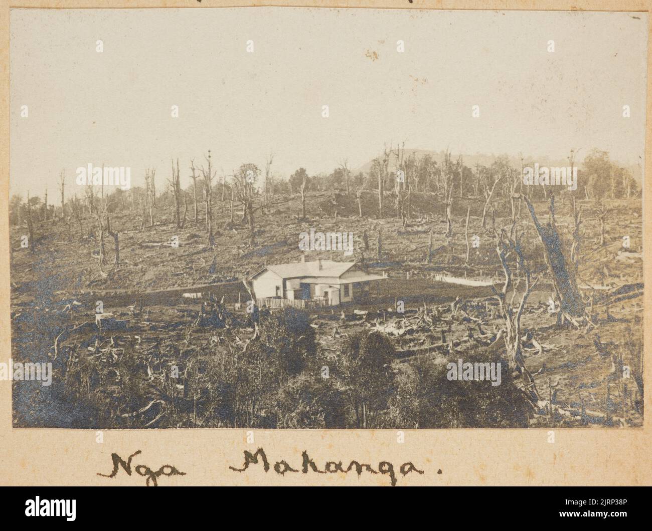 Nga Mahanga. From the album: Snapshot album - Nga Mahanga, circa 1900, Manawat River, maker ...