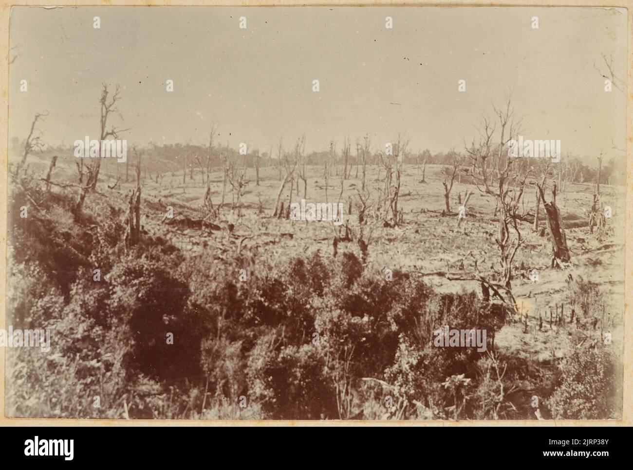 Nga Mahanga. From the album: Snapshot album - Nga Mahanga, circa 1900 ...