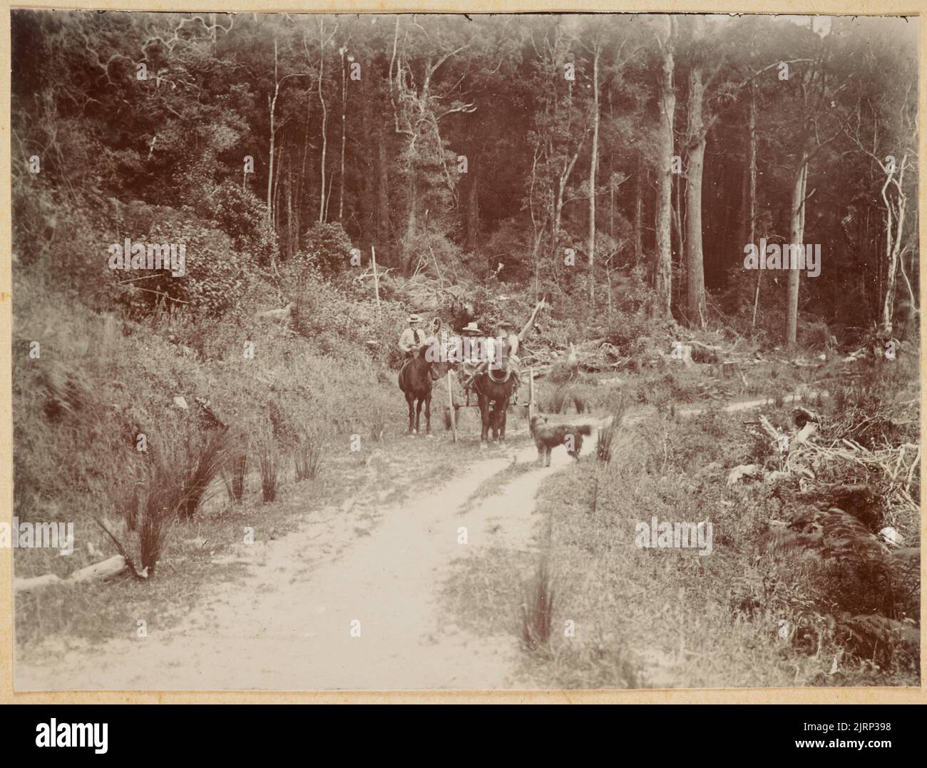 Snapshot album nga mahanga road from hi-res stock photography and ...