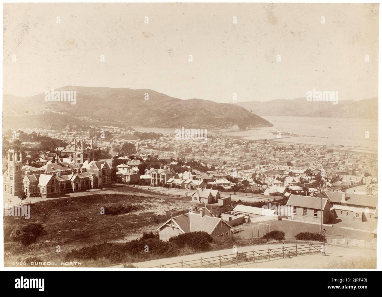 Dunedin - north, 1880s, Dunedin, by Burton Brothers Stock Photo - Alamy