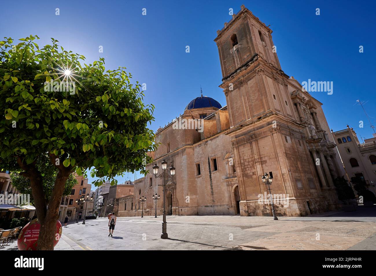 Basilica of Santa Maria in Elche, 18th century temple where the mystery ...