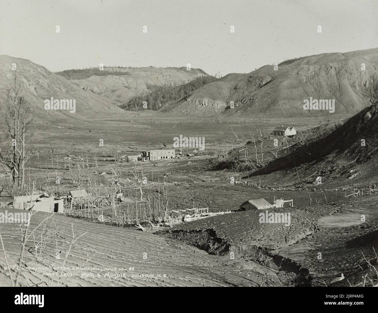 Wairoa after eruption June 10, 1886, 1901- 1913, Dunedin, by Muir ...