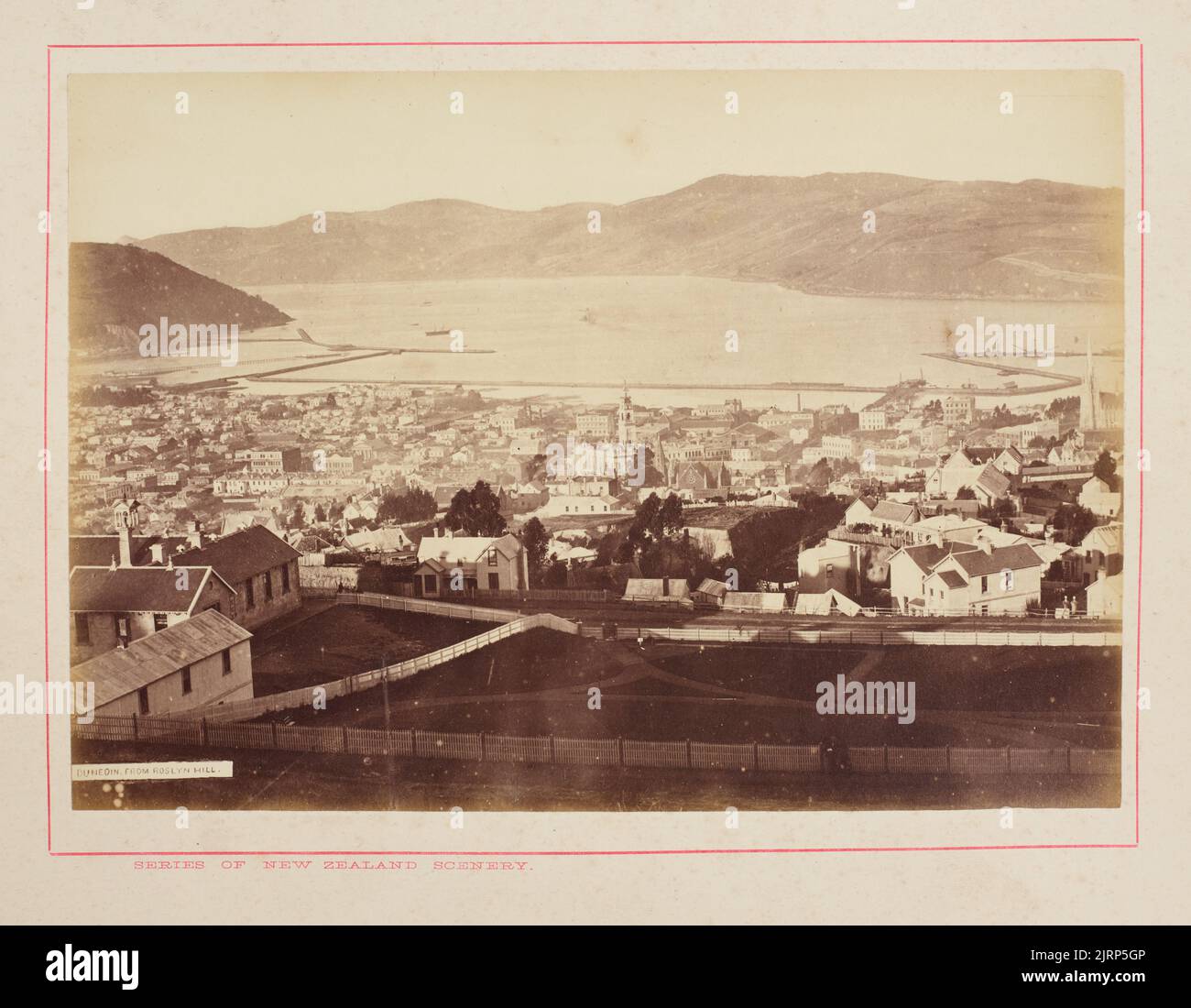 Series 1 dunedin hi-res stock photography and images - Alamy