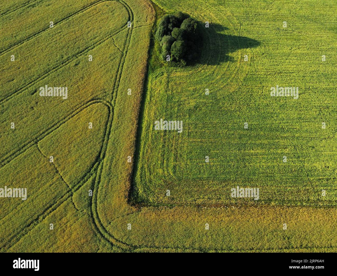 An aerial view of a green meadow Stock Photo - Alamy