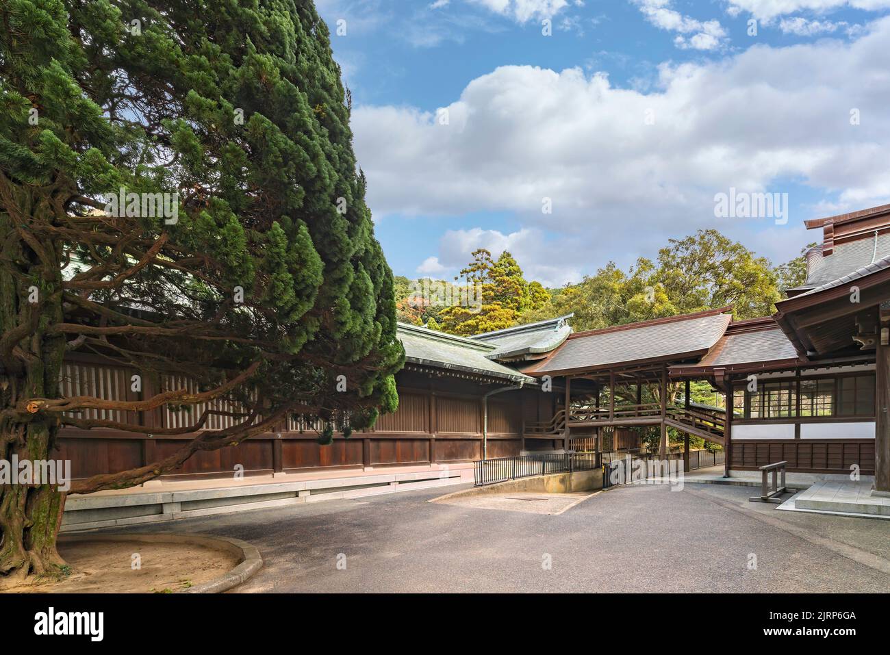 kyushu, japan - december 08 2021: Giant tree aside the exterior ...