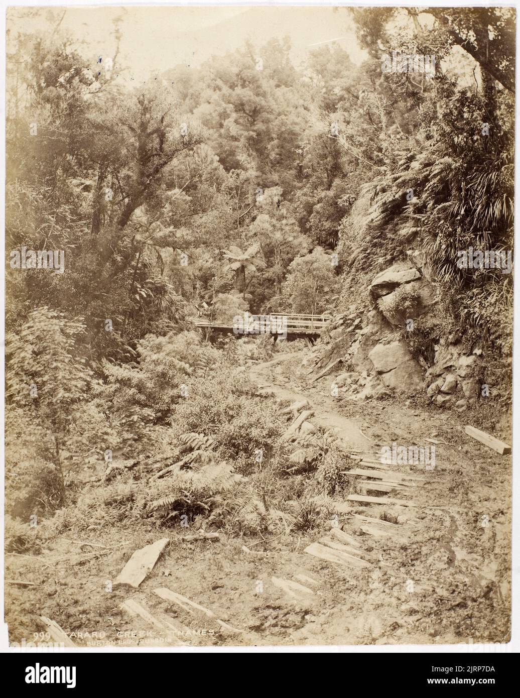 Tararu Creek, Thames, circa 1875, Thames, by Burton Brothers Stock ...