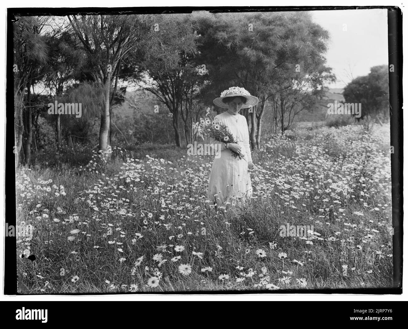 Dunedin people Black and White Stock Photos & Images - Alamy