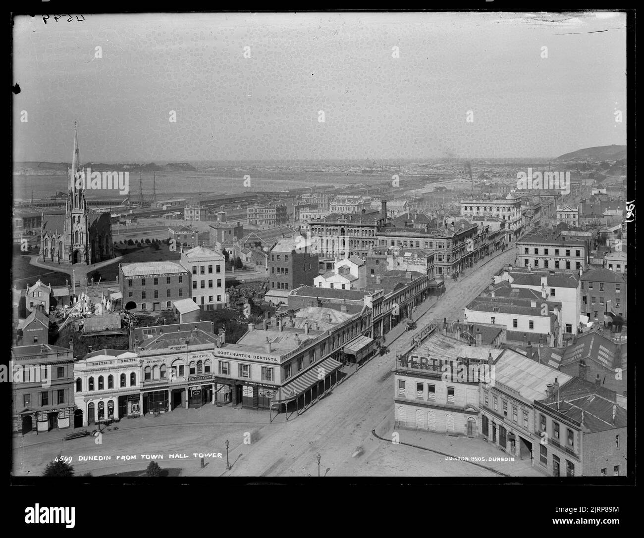 Dunedin from town hall tower dunedin from town hall tower hi-res stock ...