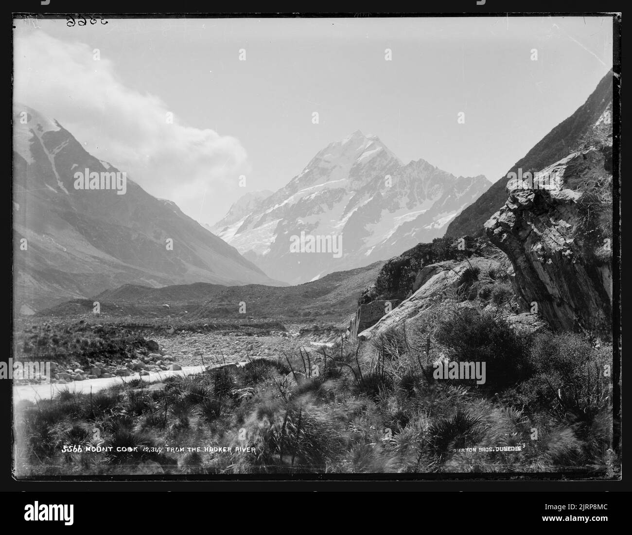 Mount Cook 12,349, from the Hooker River, 1893, Dunedin, by Burton ...