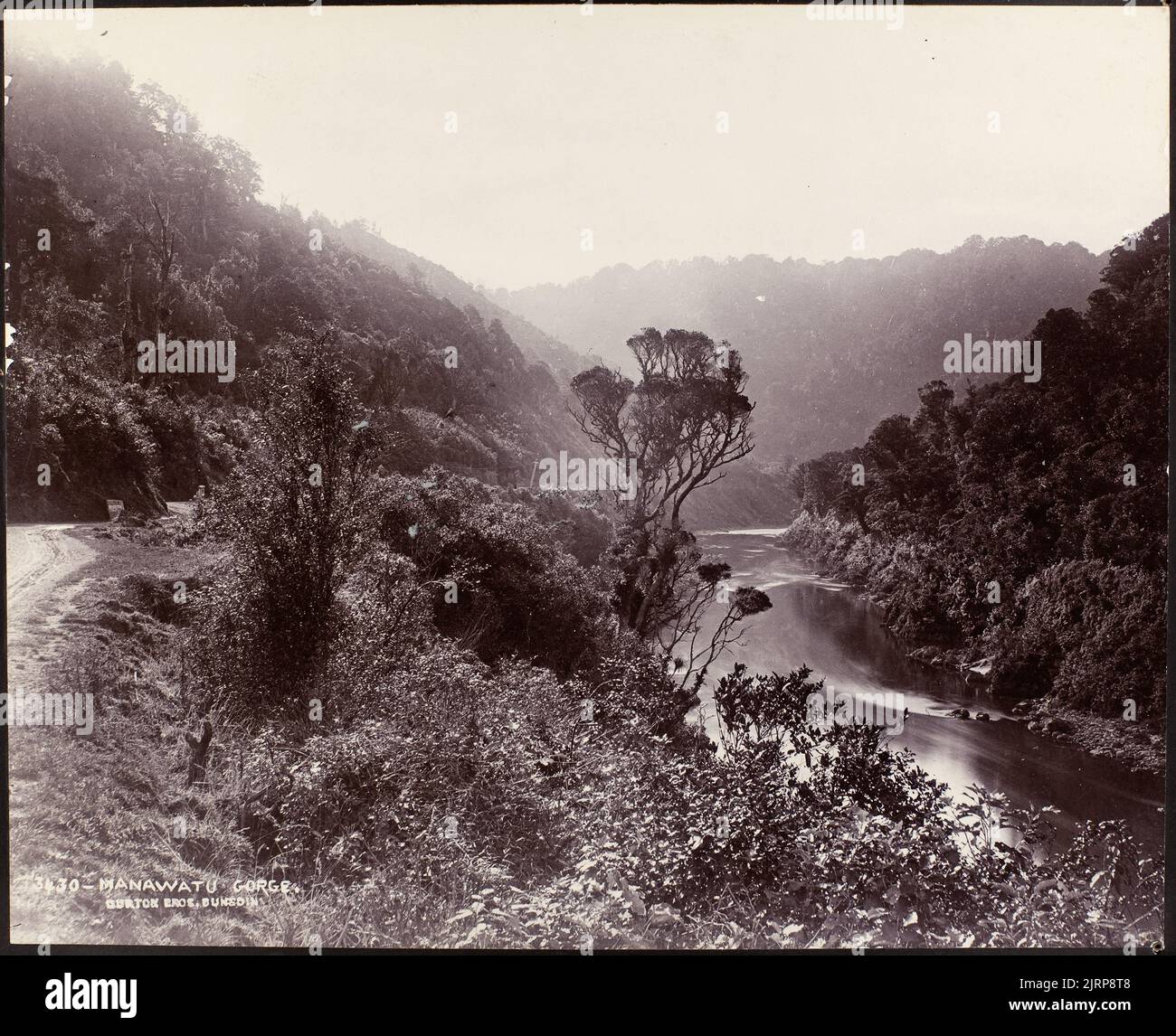 Manawatu valley hi-res stock photography and images - Alamy
