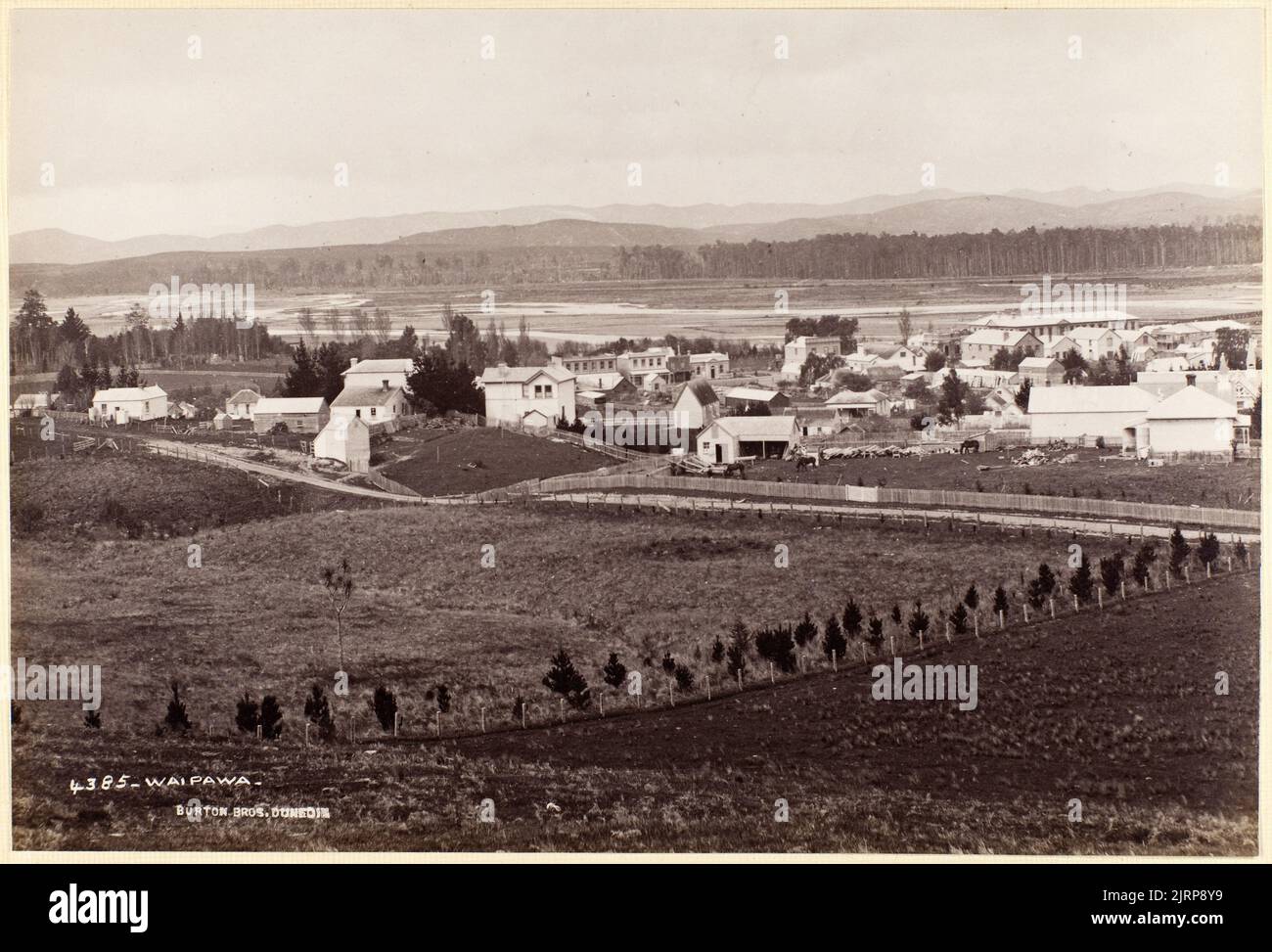 Waipawa, Dunedin, by Burton Brothers Stock Photo - Alamy