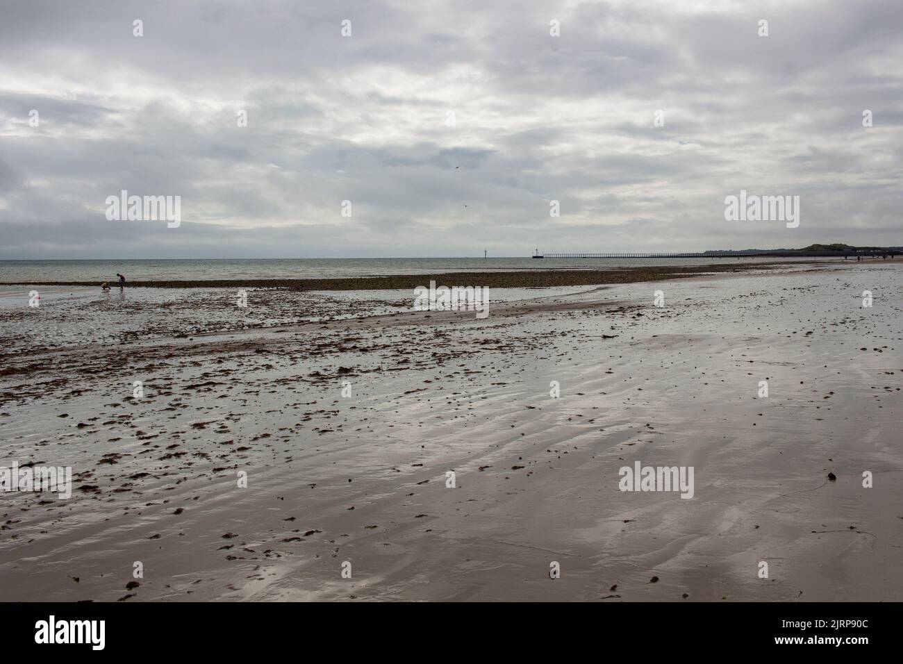 The East Beach at Littlehampton, West Sussex, UK; high summer, with sea ...