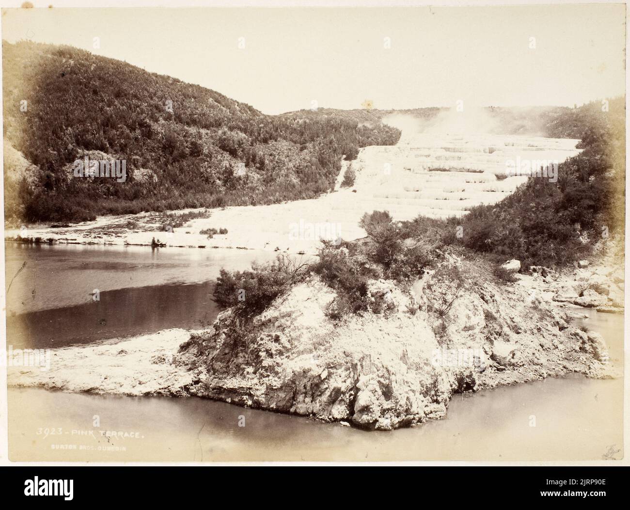Pink Terrace, 1880s, Dunedin, by Burton Brothers Stock Photo - Alamy