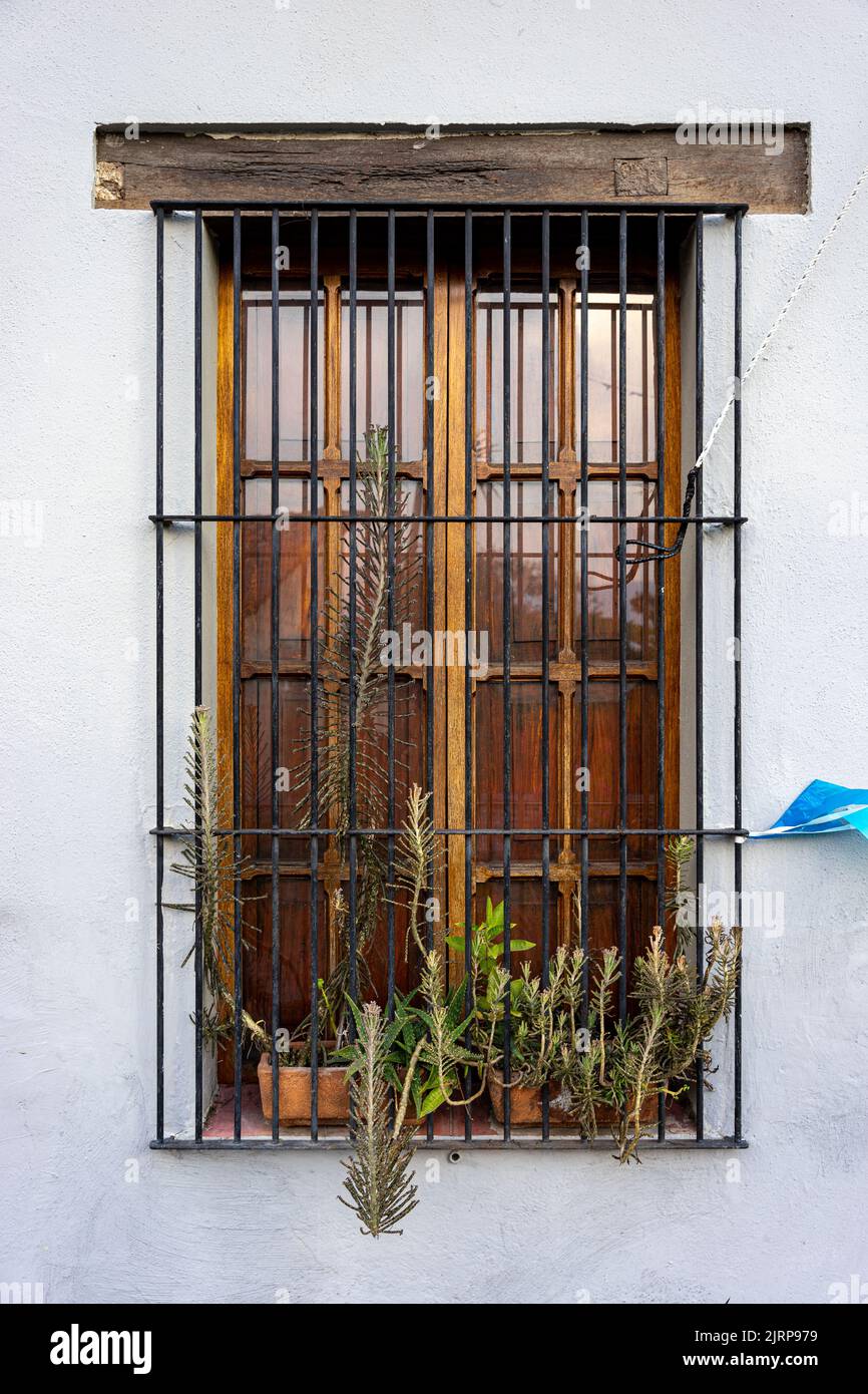Old colonial church in the town of nogueras, Comala, Colima, Mexico ...