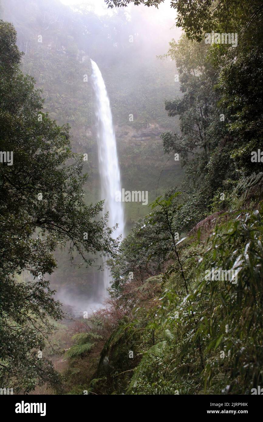 waterfall, waterfall in a forest in patagonia, south america Stock ...
