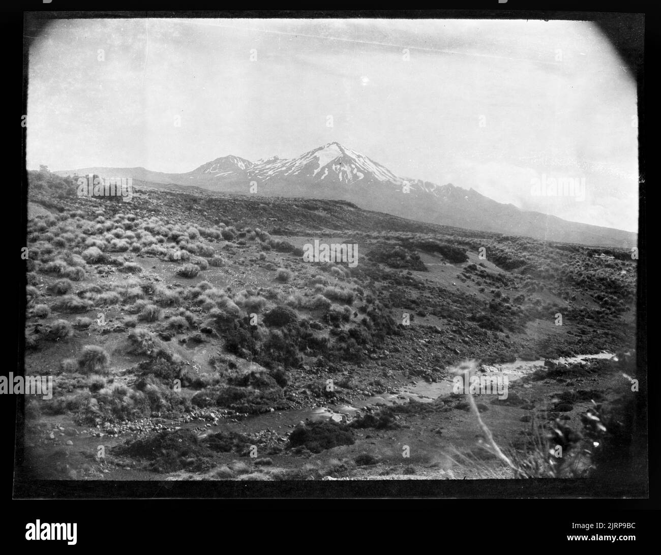 Patrick marshall hi-res stock photography and images - Alamy